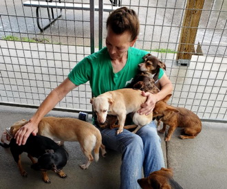A woman who turned a dingy, death row animal shelter into a loving ...