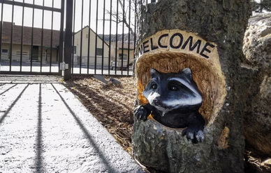 Bringing love and safety to senior citizens